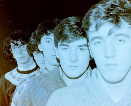 The Bluebells - Alchetron, The Free Social Encyclopedia